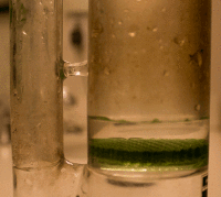 Hashish GIFs - Get the best gif on GIFER