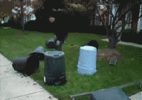 Rejected GIFs - Get the best gif on GIFER