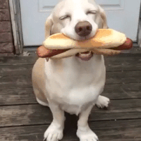 Interest GIFs - Get the best gif on GIFER