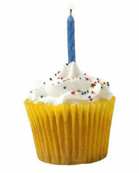 Cupcake GIFs - Get the best gif on GIFER