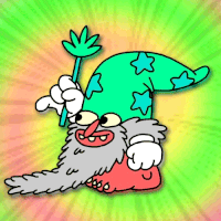 Wizard GIFs - Get the best gif on GIFER