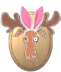 Moose GIFs - Get the best gif on GIFER