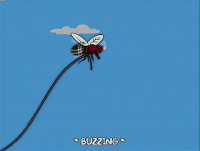 Buzzing GIFs - Get the best gif on GIFER
