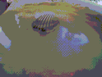 Clam GIFs - Get the best gif on GIFER