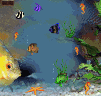 Pule GIFs - Get the best gif on GIFER