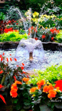 Pinterest GIFs - Get the best gif on GIFER
