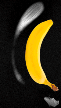 Mri GIFs - Get the best gif on GIFER