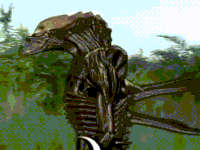 Predador GIFs - Get the best gif on GIFER