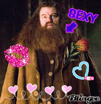 Hagrid GIFs - Get the best gif on GIFER
