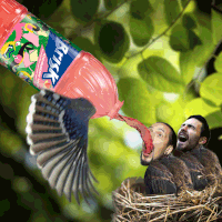 Brisk GIFs - Get the best gif on GIFER