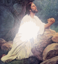 Healing GIFs - Get the best gif on GIFER