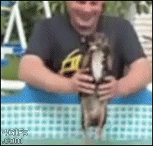 Spongecock гифки, анимированные GIF изображения spongecock - скачать ...