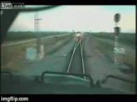 Lunk GIFs - Get the best gif on GIFER