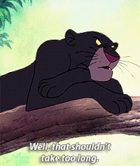 Bagheera GIFs - Get the best gif on GIFER