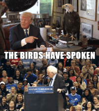 Spoken GIFs - Get the best gif on GIFER