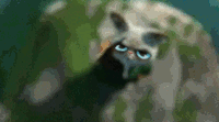Fluidity GIFs - Get the best gif on GIFER