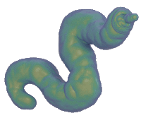 Worm GIFs - Get the best gif on GIFER