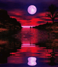 Paysage GIFs - Get the best gif on GIFER