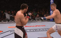 Mma GIFs - Get the best gif on GIFER