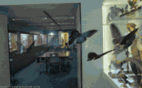 Museum GIFs - Get the best gif on GIFER