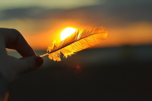 Hope GIFs - Get the best gif on GIFER