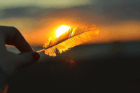 Hope GIFs - Get the best gif on GIFER