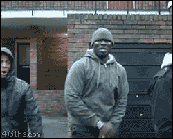 Memes GIF - Conseguir o melhor gif em GIFER