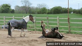 Lifealert GIF - Conseguir o melhor gif em GIFER