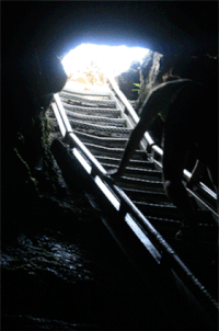 Cave GIFs - Get the best gif on GIFER