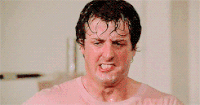 Balboa GIFs - Get the best gif on GIFER