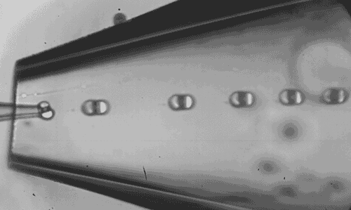 Microfluidics гифки, анимированные GIF изображения microfluidics ...