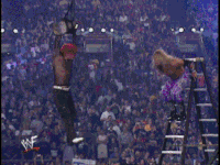 Federation GIFs - Get the best gif on GIFER