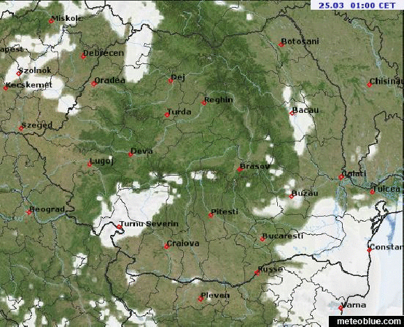 Greddy GIF - Conseguir o melhor gif em GIFER