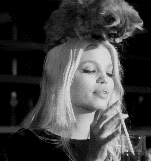 Black fashion models GIF - Conseguir o melhor gif em GIFER