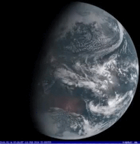 Past GIFs - Get the best gif on GIFER