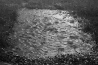 Morbid GIFs - Get the best gif on GIFER