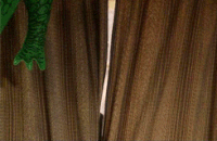 Induction GIFs - Obtenez le meilleur gif sur GIFER