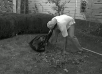 Difference GIFs - Get the best gif on GIFER