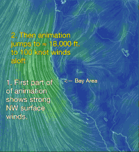 Path GIFs - Get the best gif on GIFER