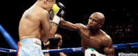 Boxing GIFs - Get the best gif on GIFER