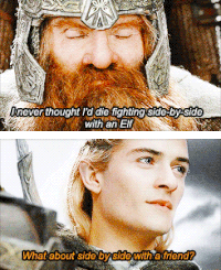 Gimli GIFs - Get the best gif on GIFER
