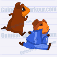 Comparison GIFs - Get the best gif on GIFER