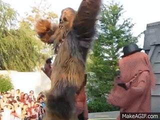 Chewbacca GIFs - Get the best gif on GIFER