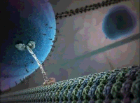 Protein GIFs - Get the best gif on GIFER