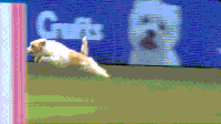 Sum GIFs - Get the best gif on GIFER