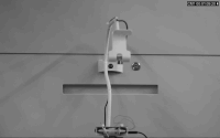 Output GIFs - Get the best gif on GIFER