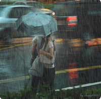 Pluie GIFs - Obtenez le meilleur gif sur GIFER