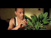 Menage GIFs - Get the best gif on GIFER