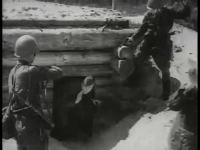 Ww GIFs - Get the best gif on GIFER