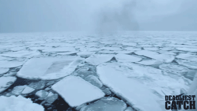 Uhggh GIFs - Get the best gif on GIFER